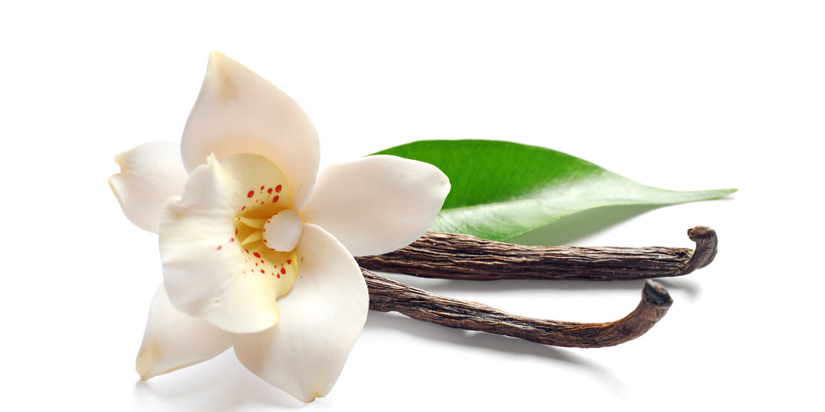 Vanilla Spices — My Spice Sage