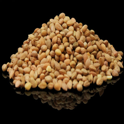 Mahlab Seeds Whole - Also Known As Mahleb Seeds, Mahalab Seeds or ...
