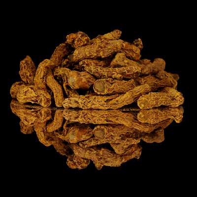 Turmeric Finger Whole - Also Known As Whole Turmeric or Turmeric ...